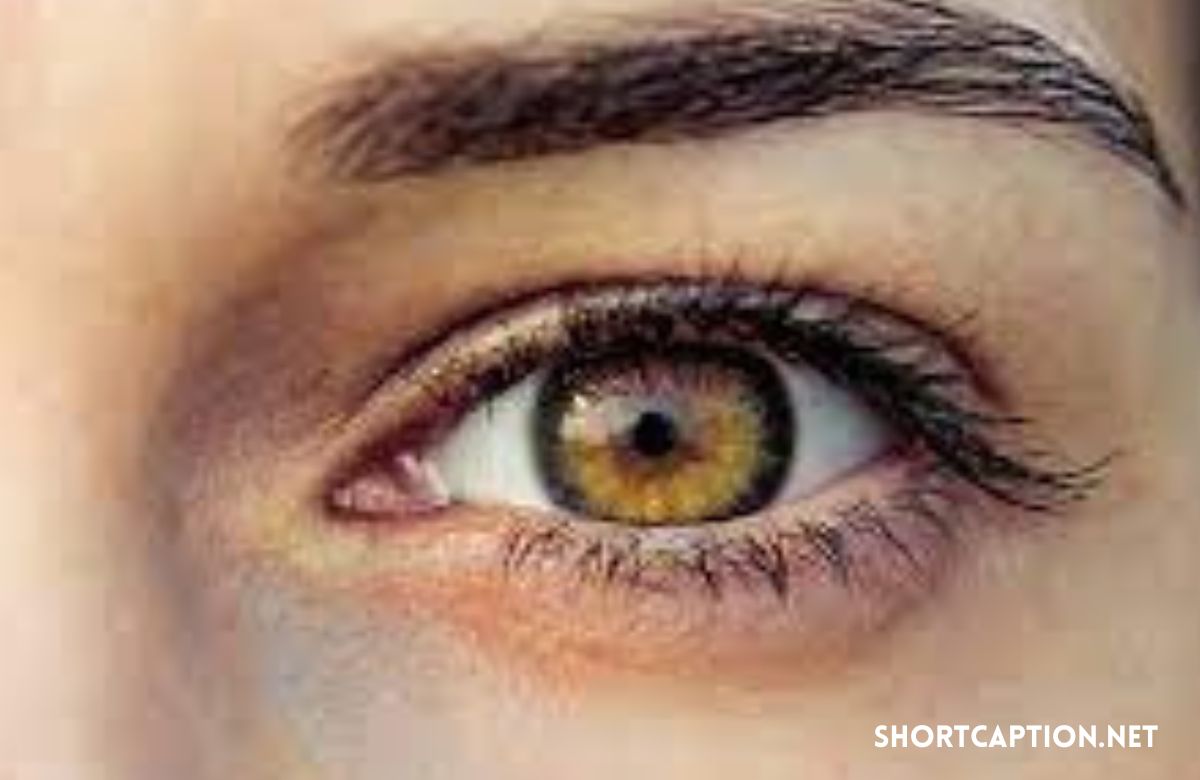 350+ Cute Short Caption for Eyes Pic on Instagram - Short Caption